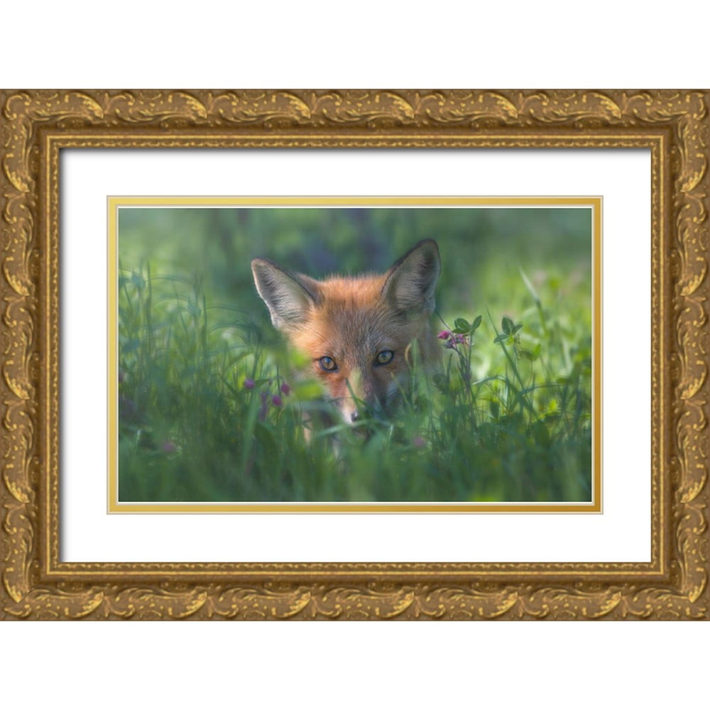 Deng, Larry 14x10 Gold Ornate Wood Framed with Double Matting Museum ...