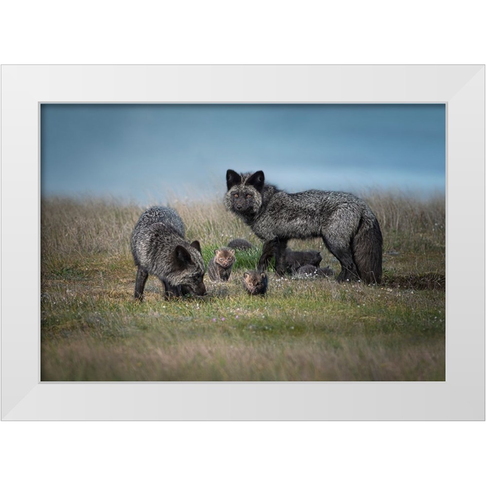 Deng, Larry 32x23 White Modern Wood Framed Museum Art Print Titled ...