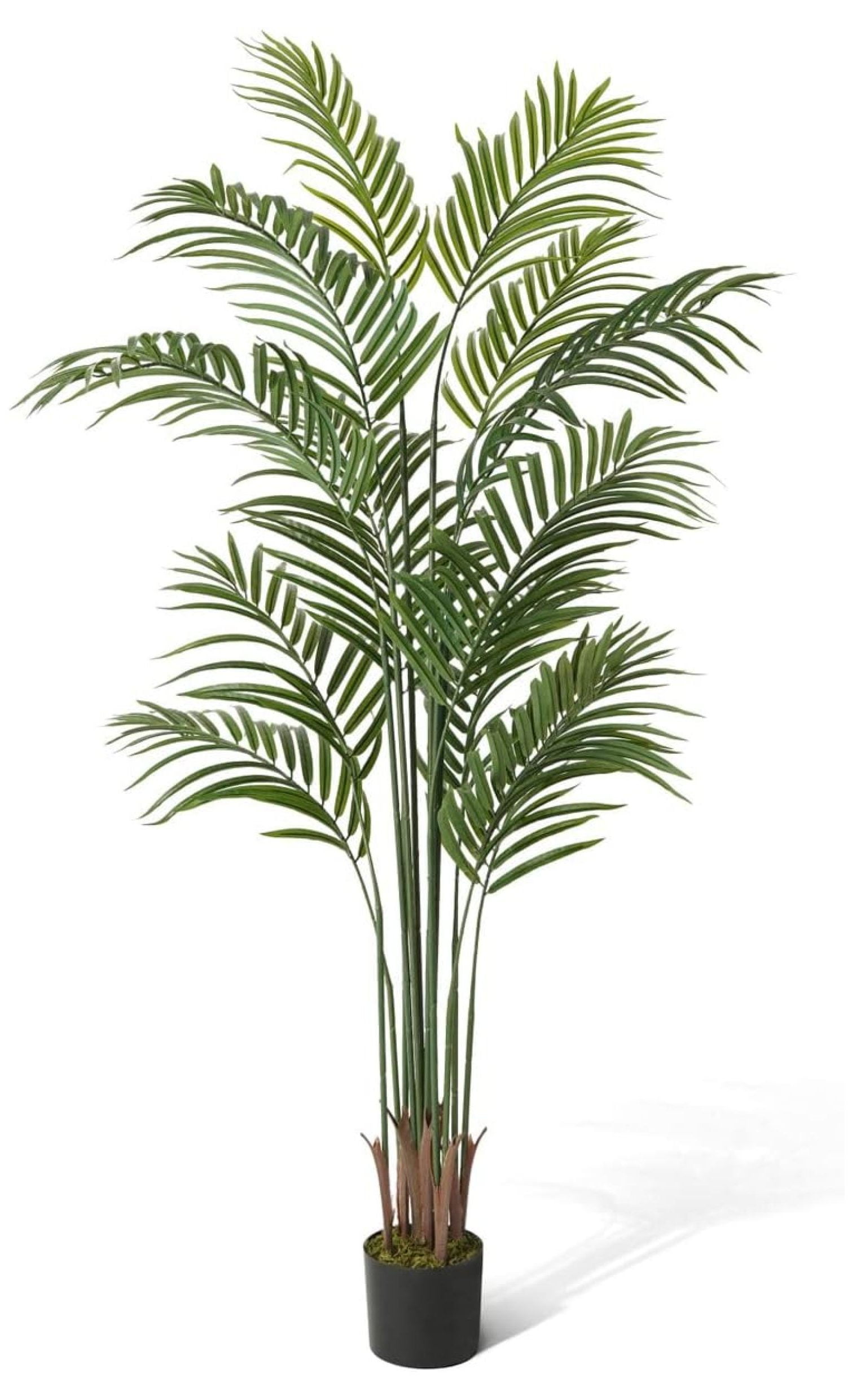 Deng rui 5 Feet, 60 Inch Artificial Palm Tree with 13 Trunks, Faux ...