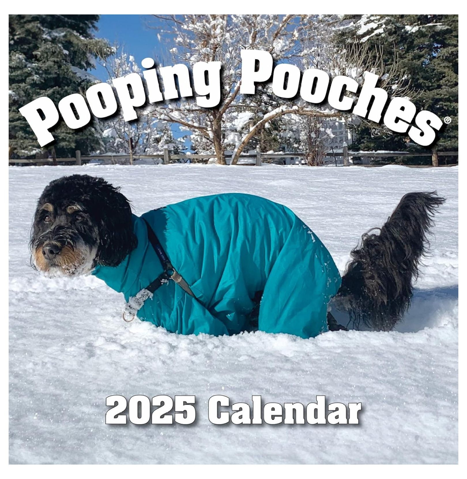 Deng rui White Elephant Gag Gift Calendar - Walmart.com