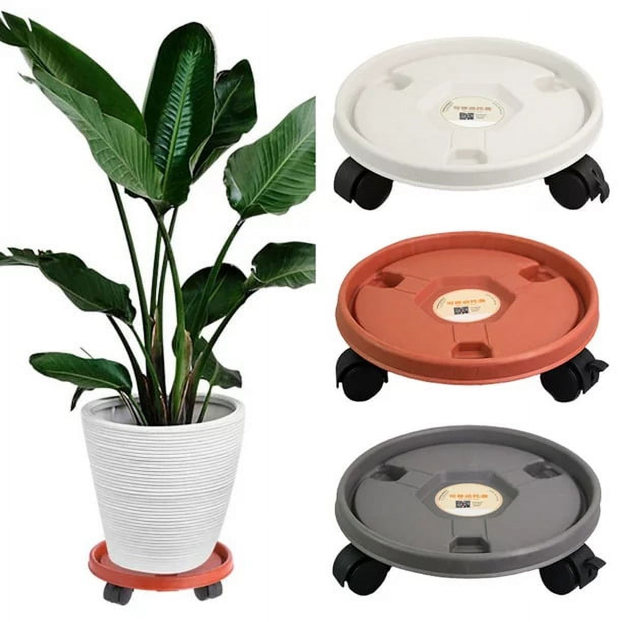 Dengjunhu 10.2 inch Plant Caddy with 4 Wheels and Drainage Tray,Round ...