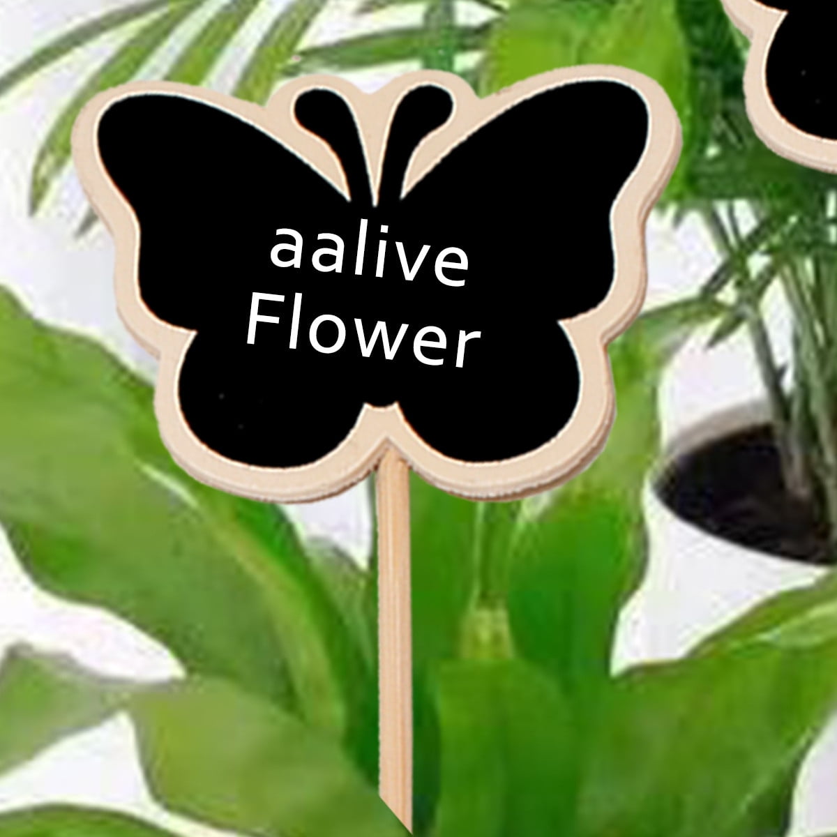 Dengmore Plant Gift Spring Small Blackboard Plant And Flower Decoration ...