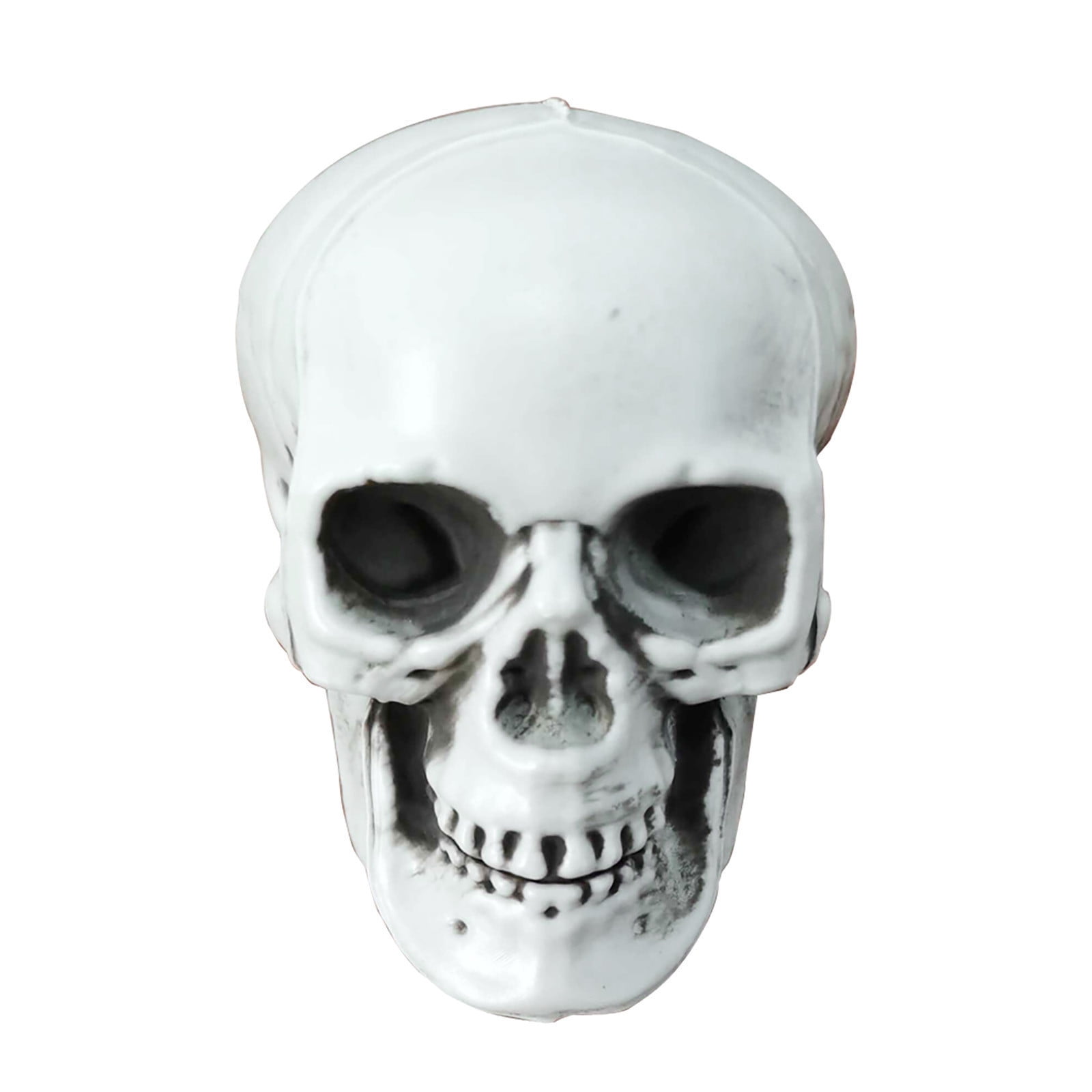 Dengmore Plastic Halloween Skulls Realistic Mini Skeleton Spooky ...
