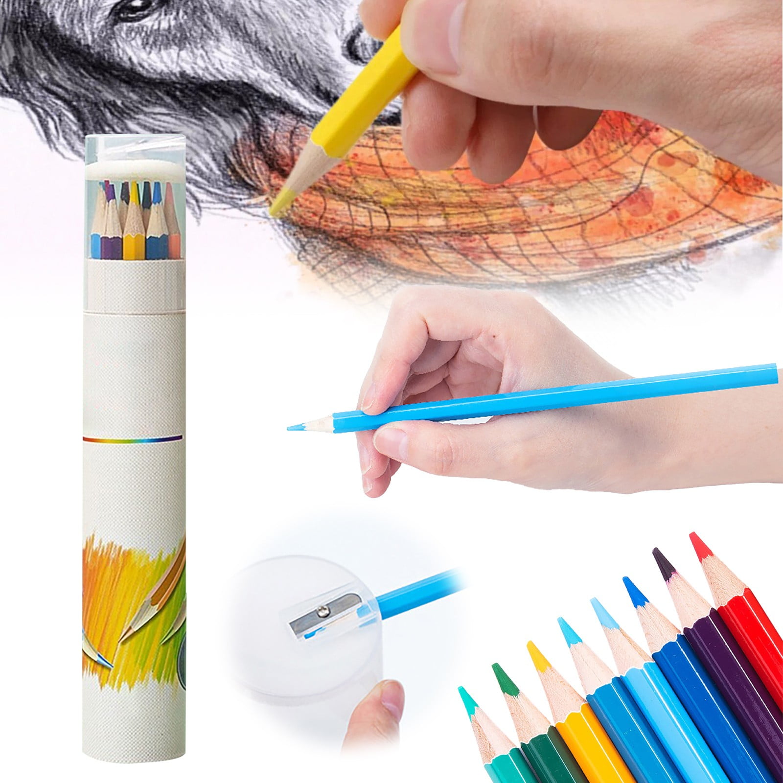 Denhf 12Pcs Colored Pencils, Soft Core Coloring Pencils Set, Watercolor ...