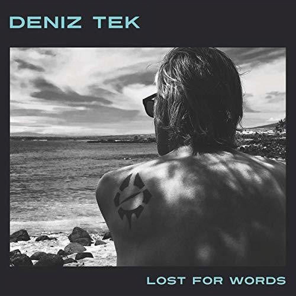 Deniz Tek - Lost for Words - Music & Performance - CD - Walmart.com