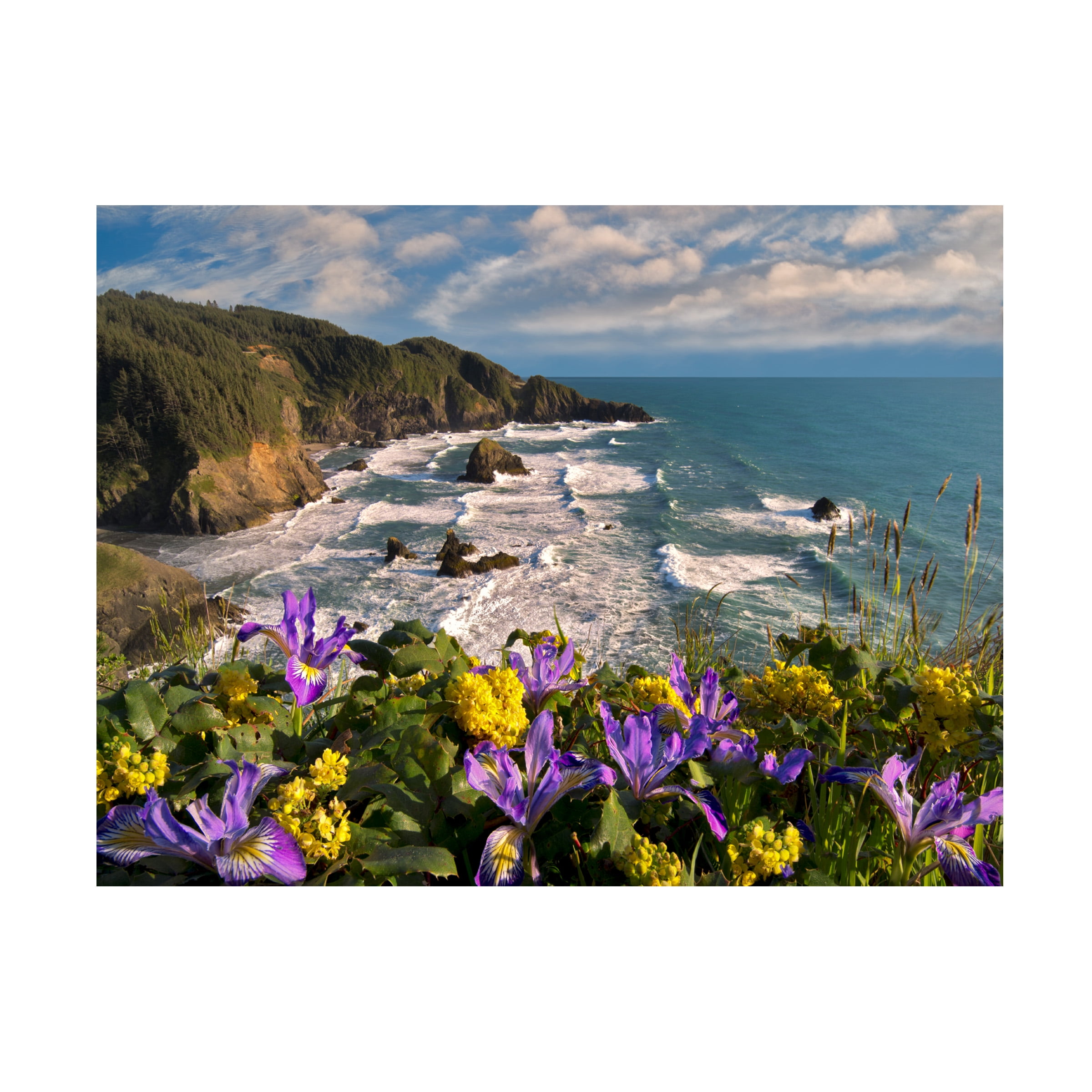 Dennis Frates 'Sea Grass 6' Canvas Art - Walmart.com