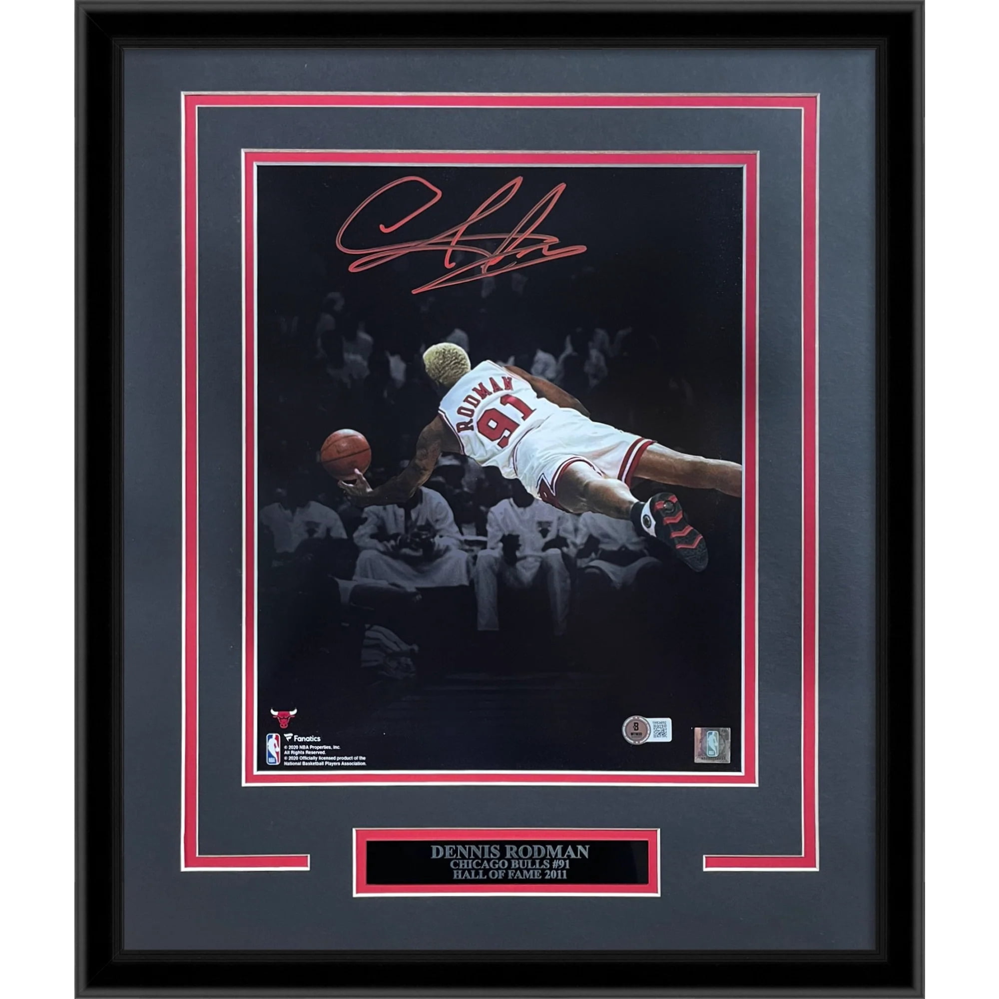 Dennis Rodman Autographed Chicago Bulls (Spotlight Dive) Deluxe Framed ...