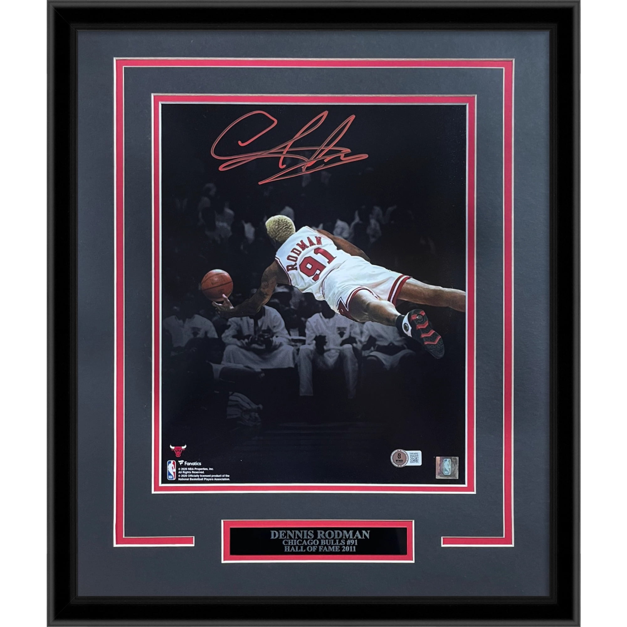 Dennis Rodman Autographed Chicago Bulls (Spotlight Dive) Deluxe Framed ...