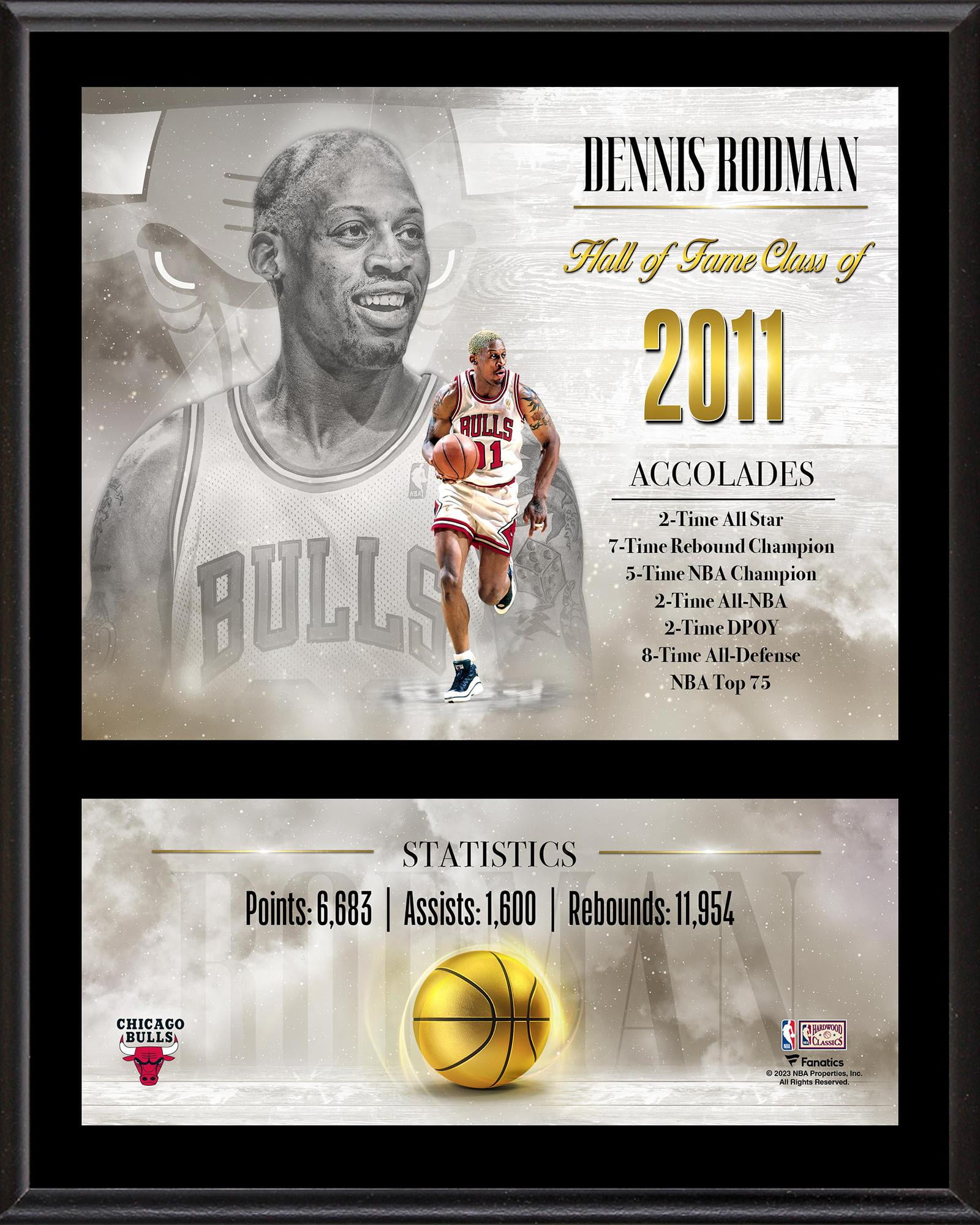 Dennis Rodman Chicago Bulls 12" x 15" Hardwood Classic Sublimated ...