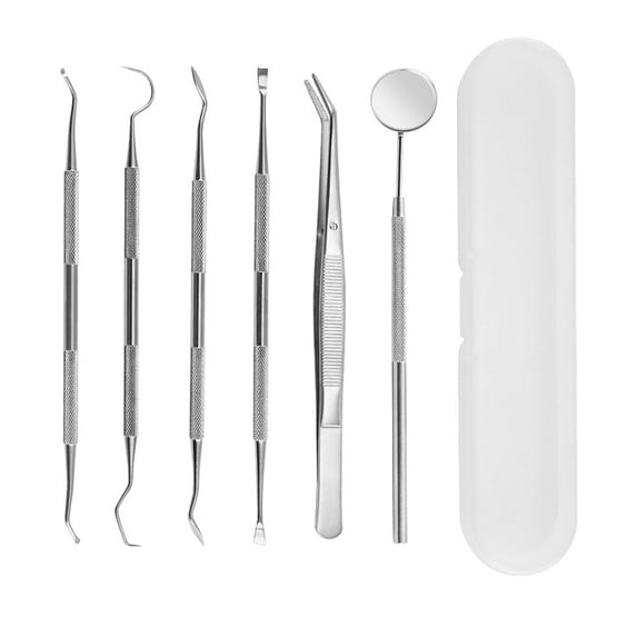 Dental Cleaning Tools Kit, 6 PCS Teeth Tooth Scraper Tartar Plaque ...