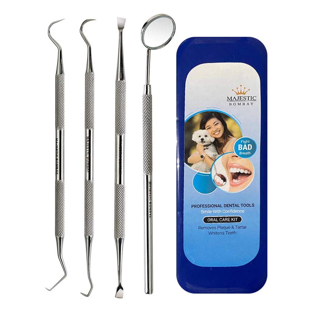 Dental Hygiene Tool Set RRF12 - Stainless Steel Dental Tooth Pick ...