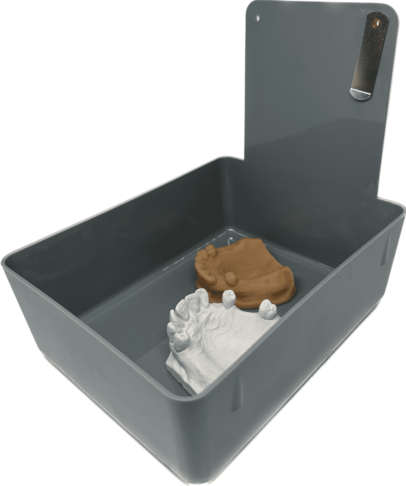 Dental Lab Pan Gray 12/box High Quality Color Coded organization ...