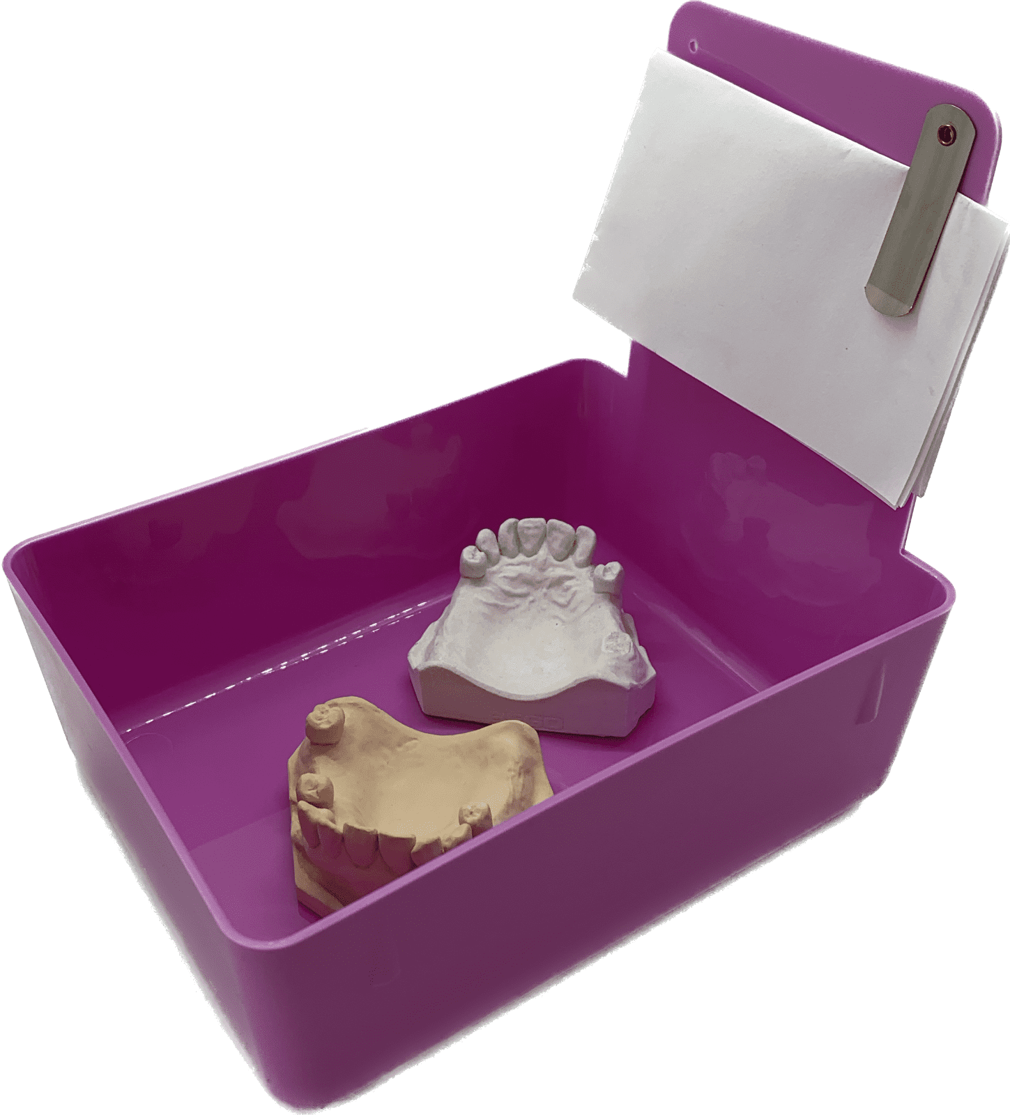 Dental Lab Pan Purple 12/box High Quality Color Coded organization ...