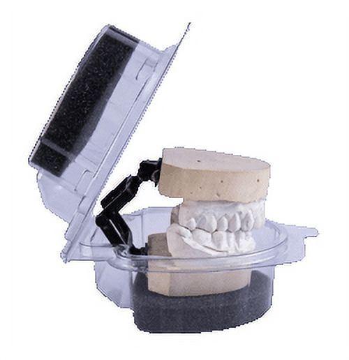 Dental Model Carrier & Denture Box, Ortho Appliance Care Disposable ...