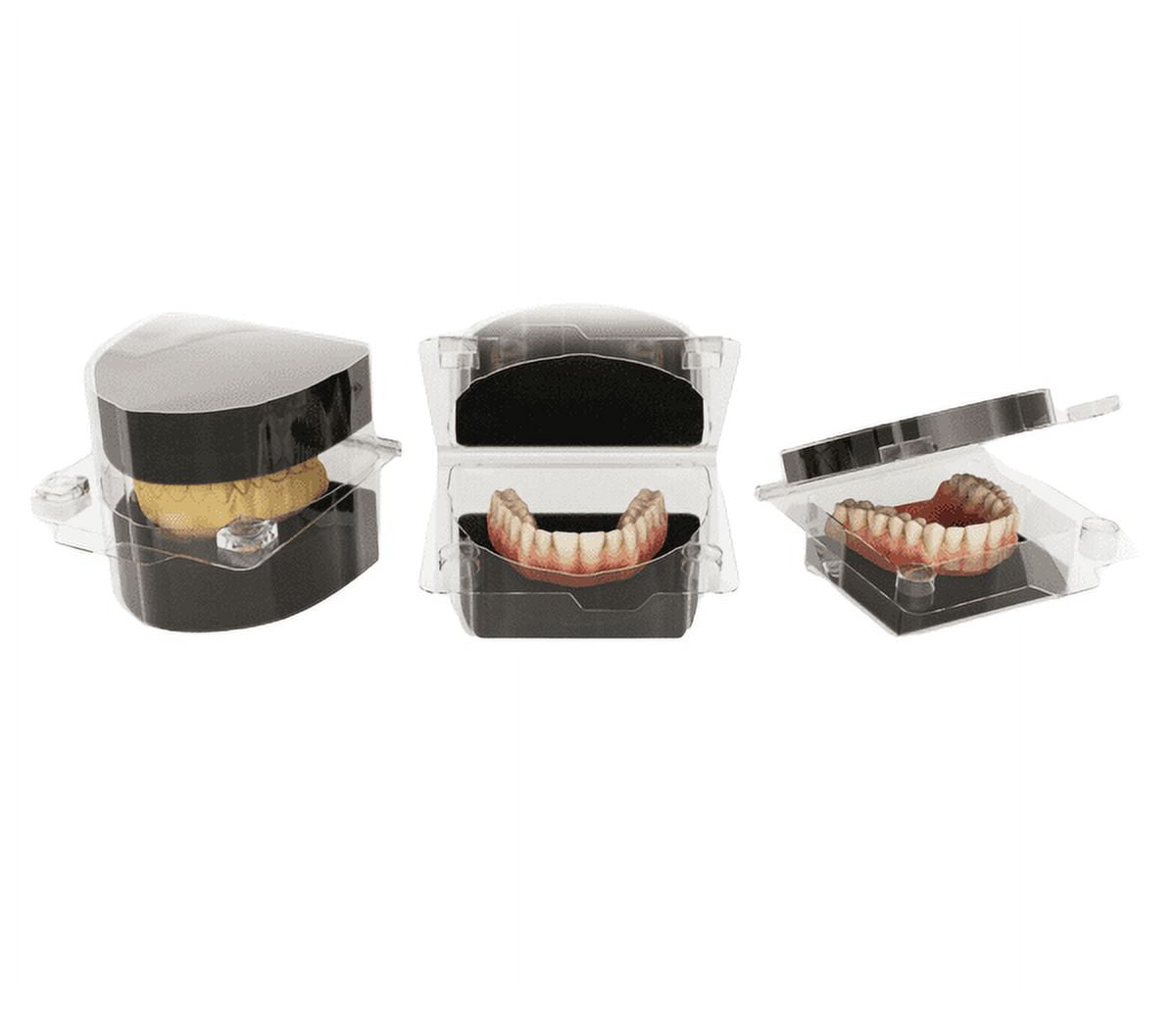 Dental Model Carrier & Denture Box, Ortho Appliance Care Disposable ...
