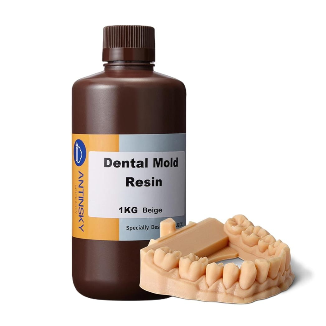 Dental Mold Resin Dental Model Crown and Bridge Model, Orthodontic ...