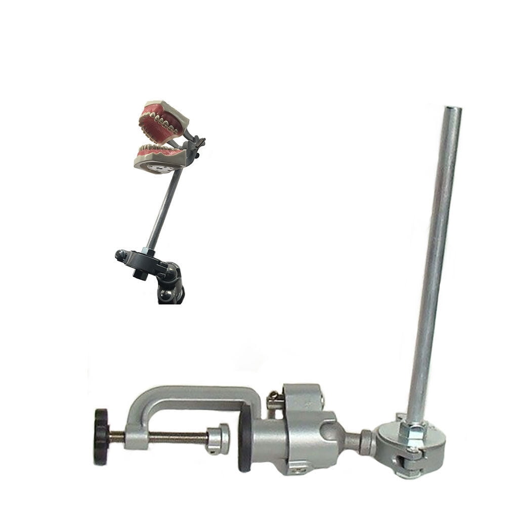 Dental Typodont 860 and Pole Mount Compatible with Columbia Brand Teeth ...