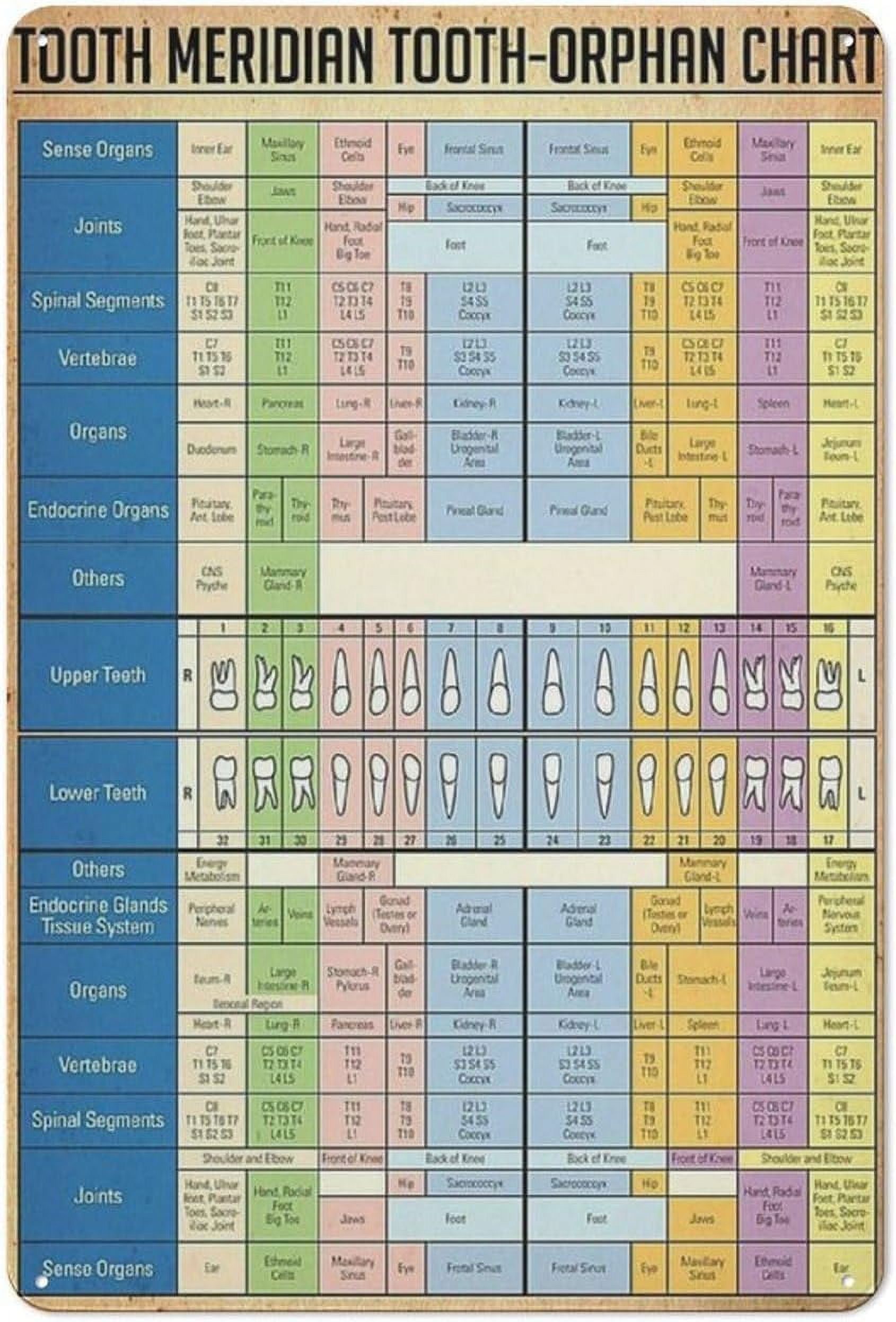 Dentist Knowledge Posters Metal Signs Dentist Gift Doctor Tooth ...