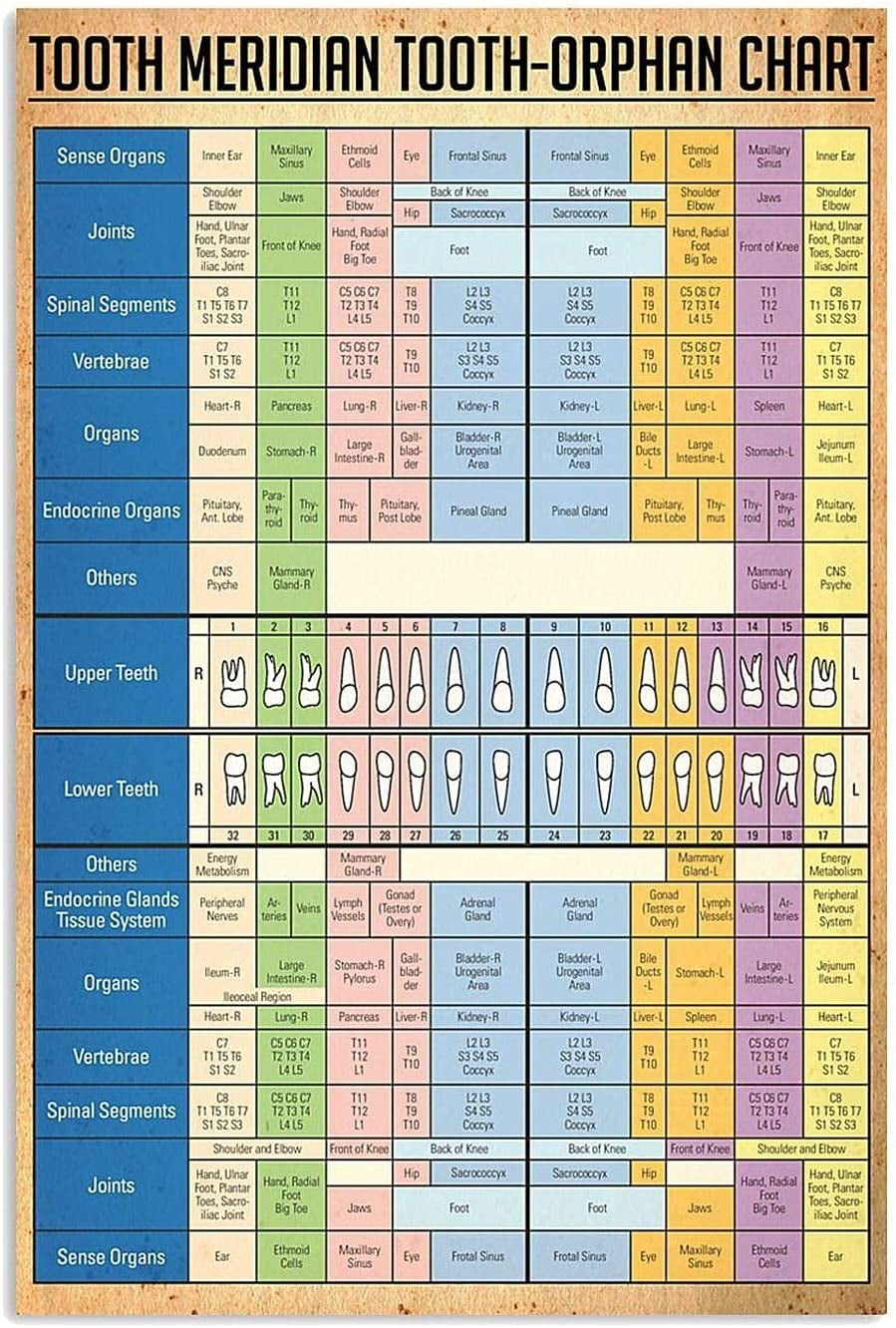 Dentist Knowledge Posters Metal Signs Tooth Meridian Tooth-Orphan Chart ...