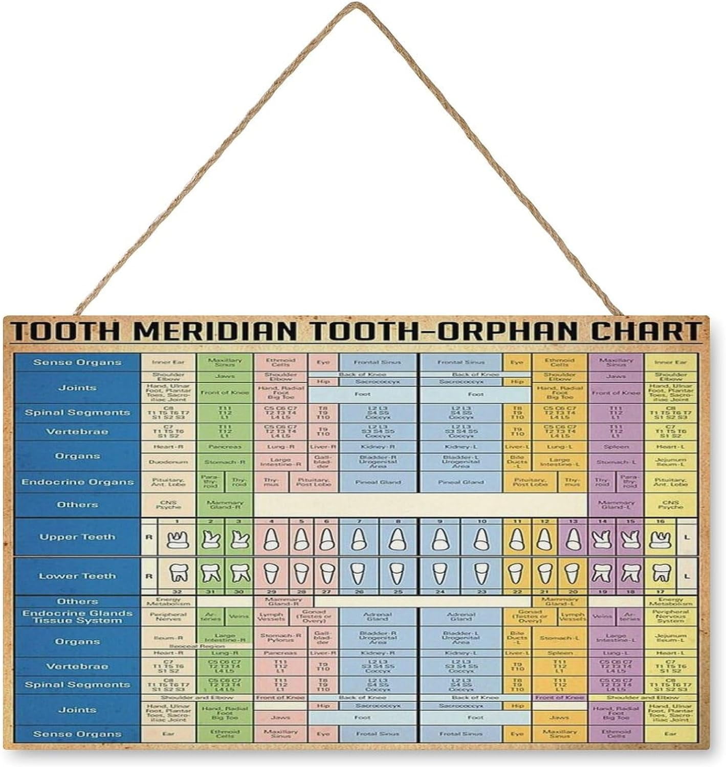 Dentist Knowledge Posters Wooden Signs Dentist Gift Doctor Tooth ...