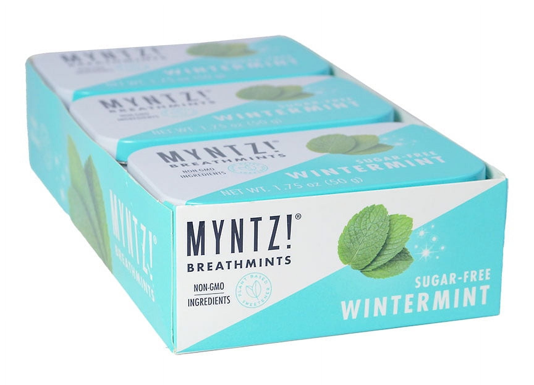 MYNTZ! Brand Wintermynt Blast Wintergreen Flavor Mints, Dentist ...