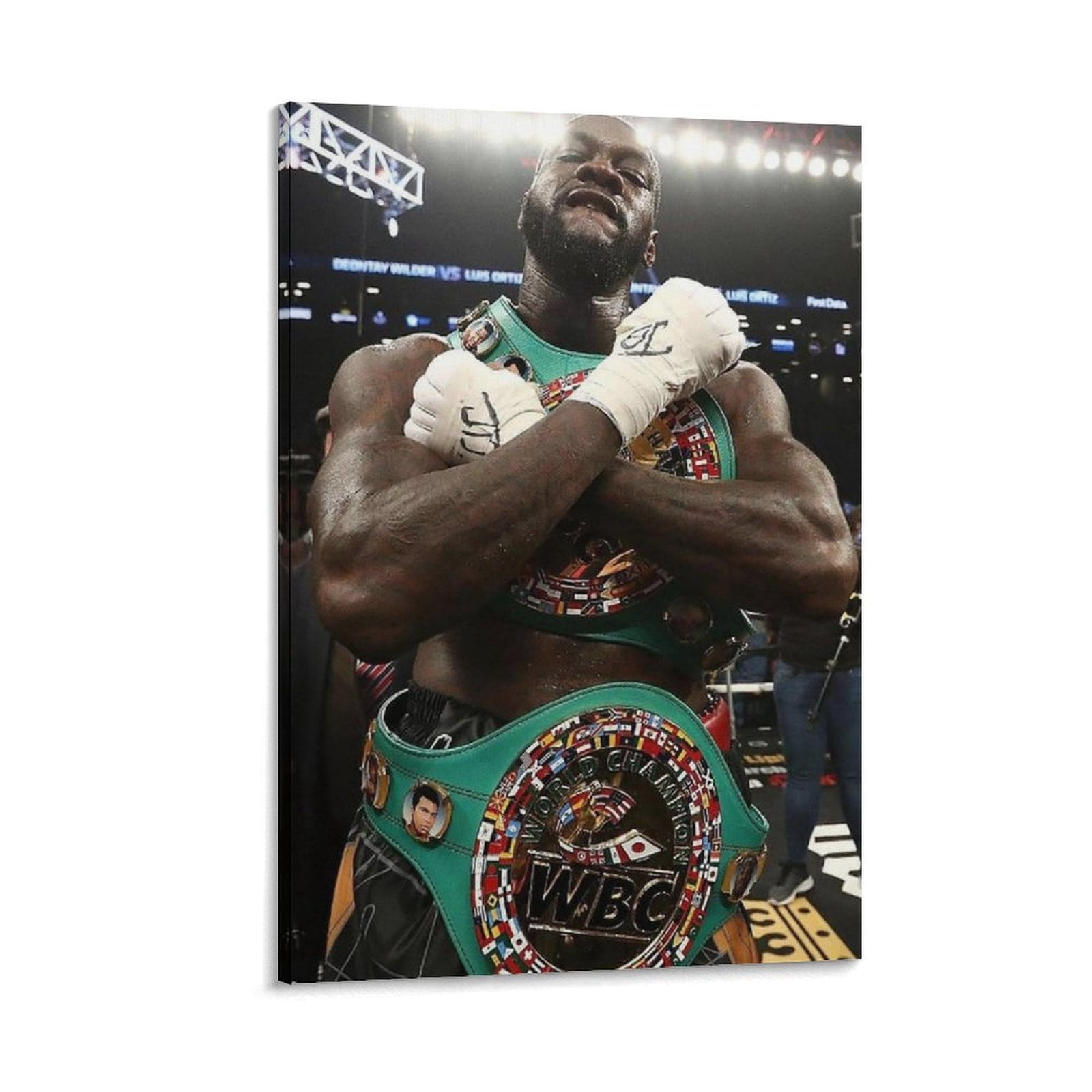 Deontay Wilder Canvas Poster Posters Wall Art Painting Canvas Gift ...