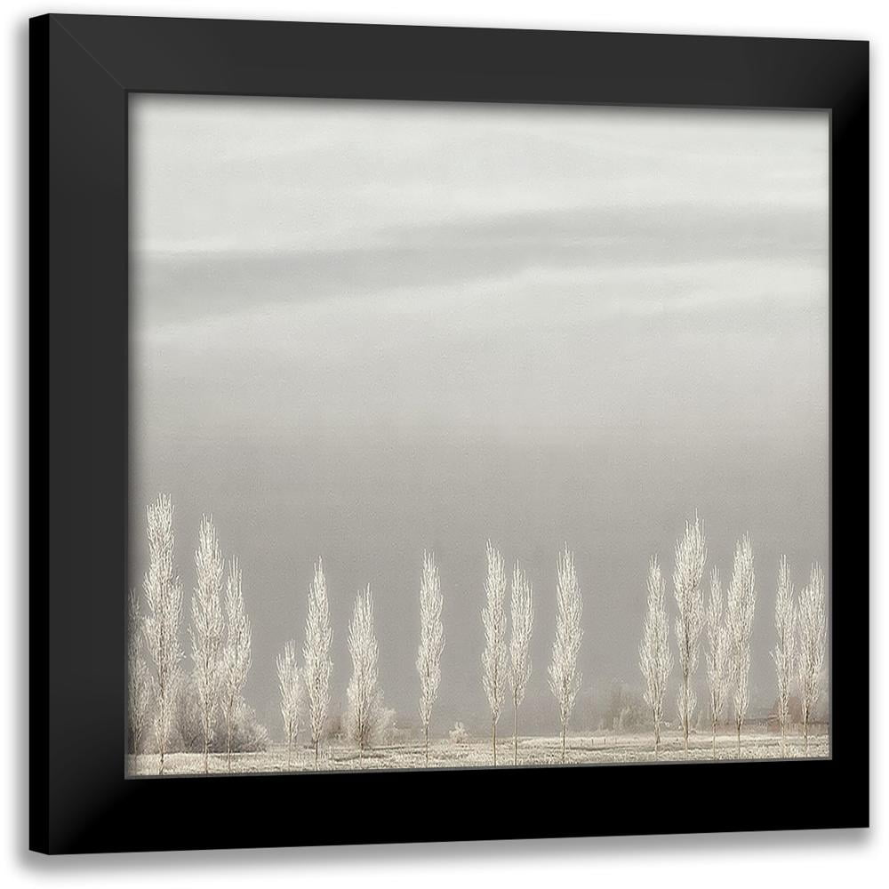 Depaepe, Yvette 16x15 Black Modern Framed Museum Art Print Titled ...