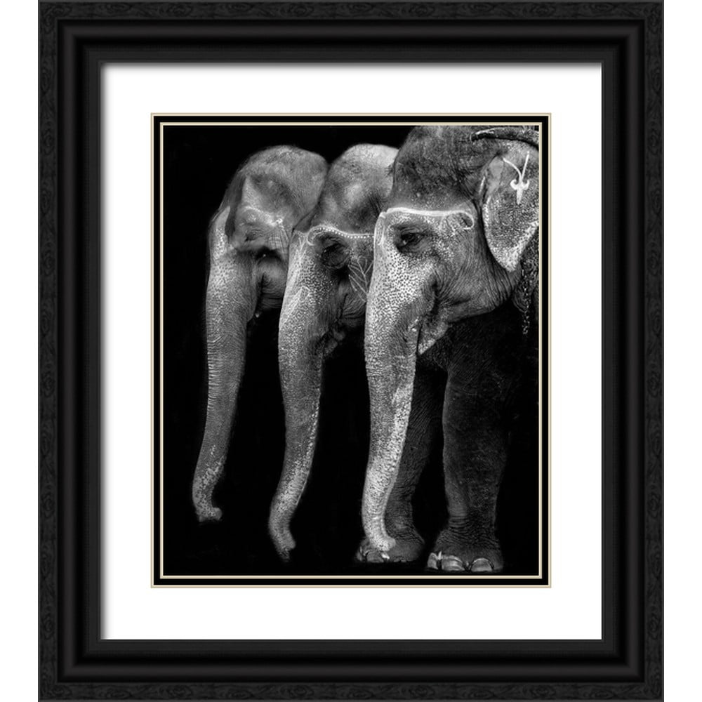 Depaepe, Yvette 20x23 Black Ornate Wood Framed with Double Matting ...