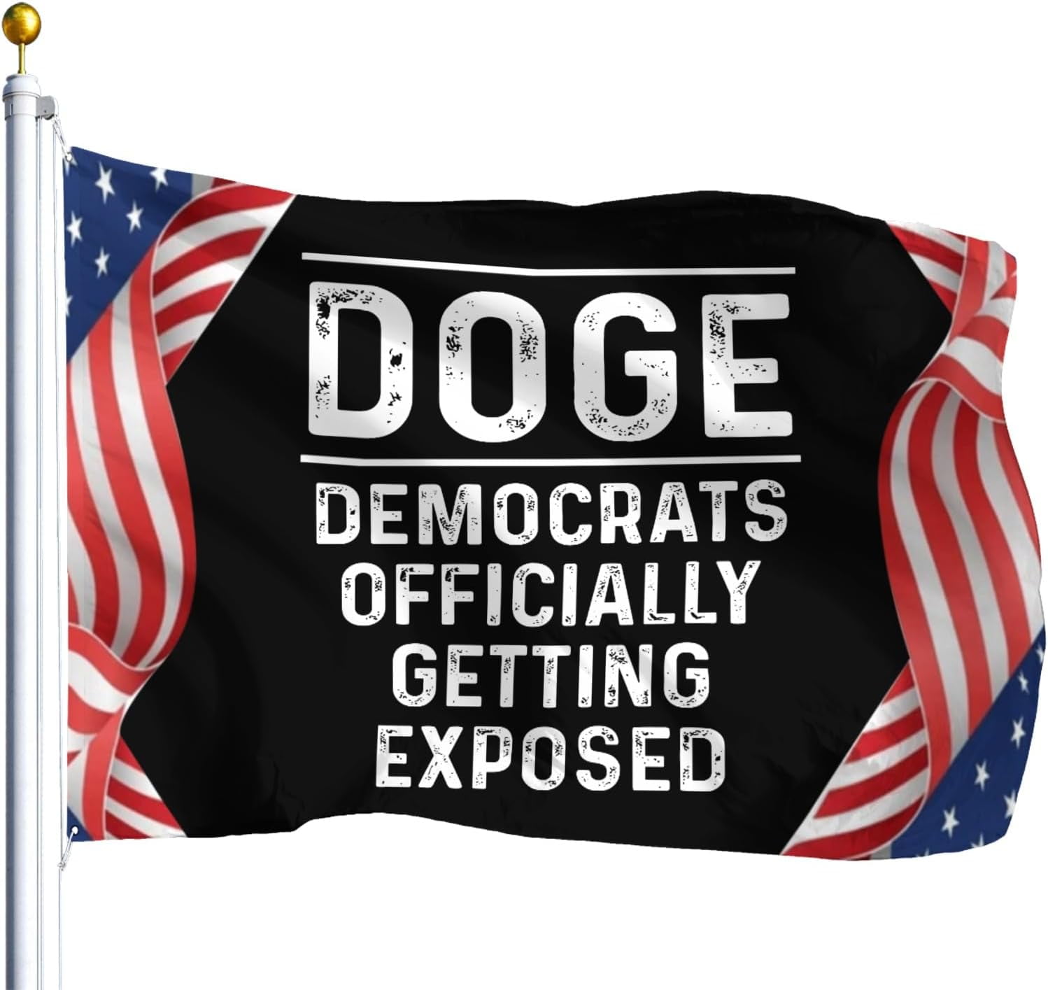Department of GovernmentS Democrats Officially Getting Exposeds Flags ...
