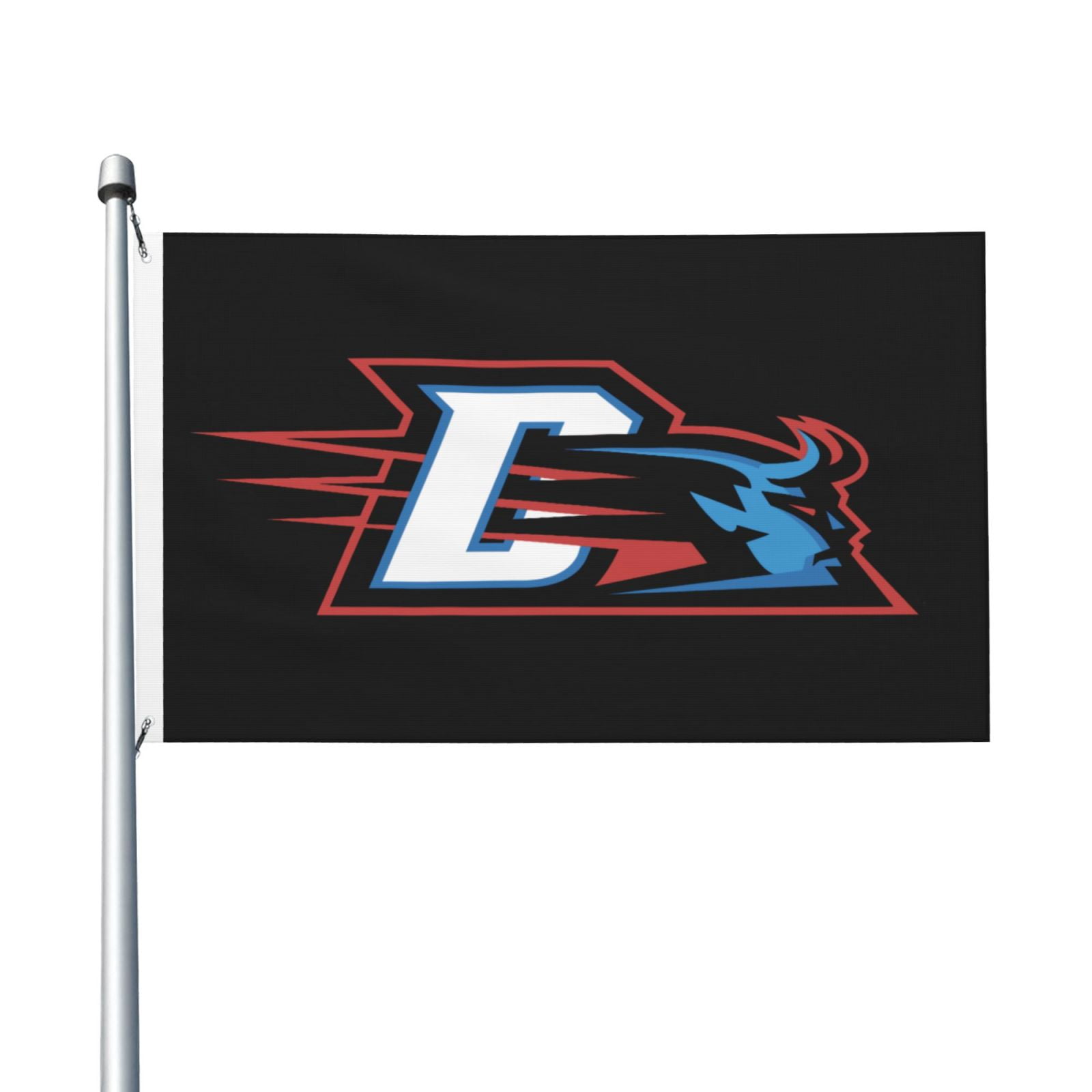 Depaul University Logo Double Sided Flag 3x5 Feet American Flag Garden ...
