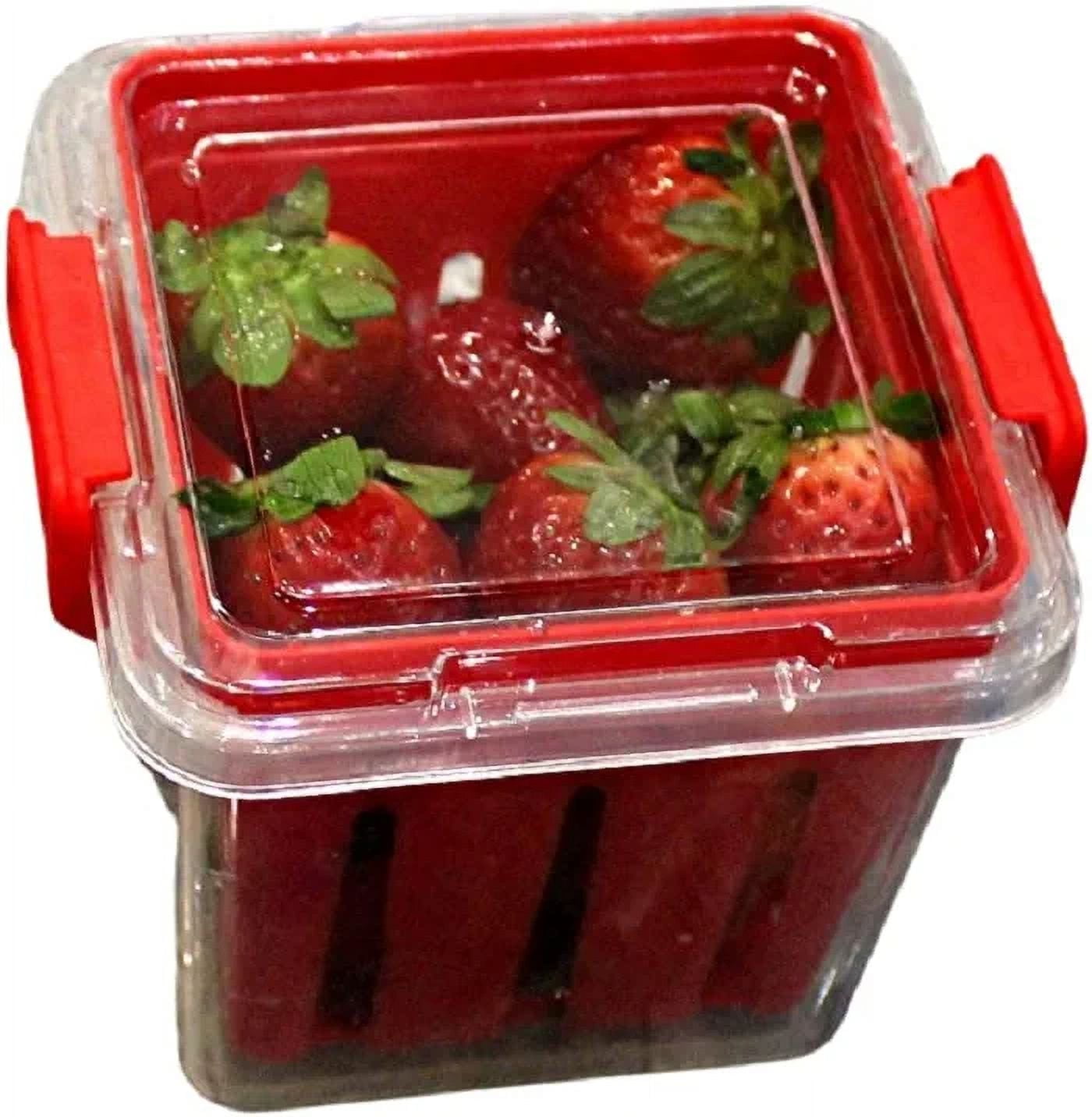 Dependable Industries Fresh Veggie & Berry Keeper, BPA-Free Storage Box ...