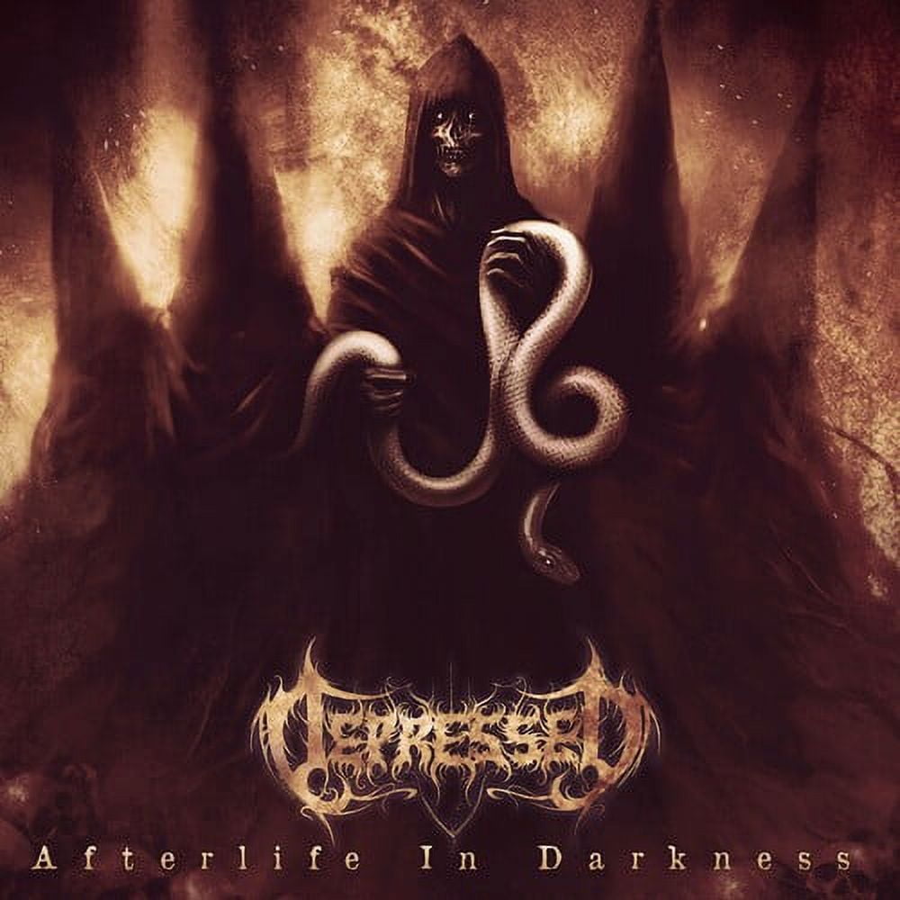 Depressed - Afterlife In Darkness - Heavy Metal - CD - Walmart Business ...