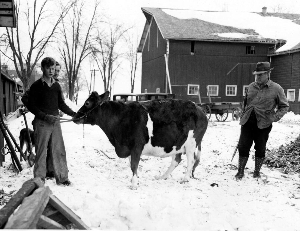 DepressionWisconsin Milk Strike-Thousands Of Dairy Farmers Are ...