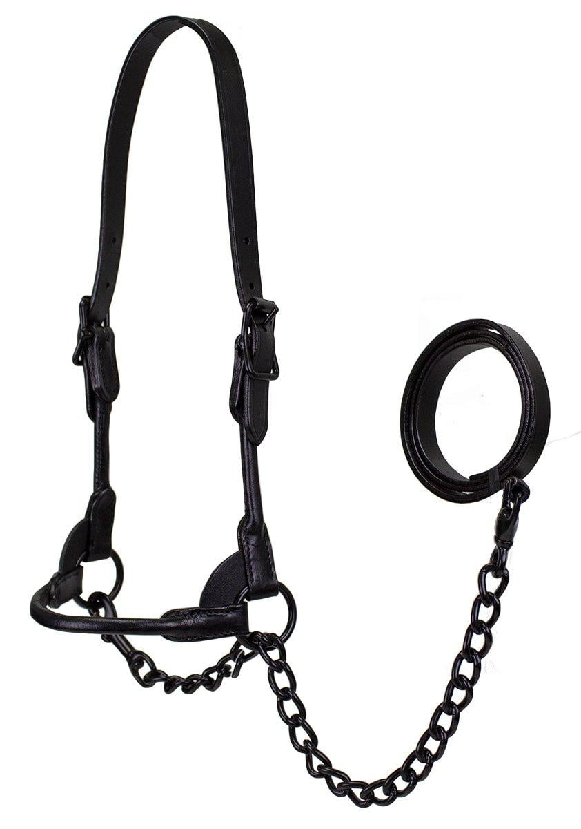 Derby Black Midnight All Black Premium Round Rolled Leather Cattle Show ...
