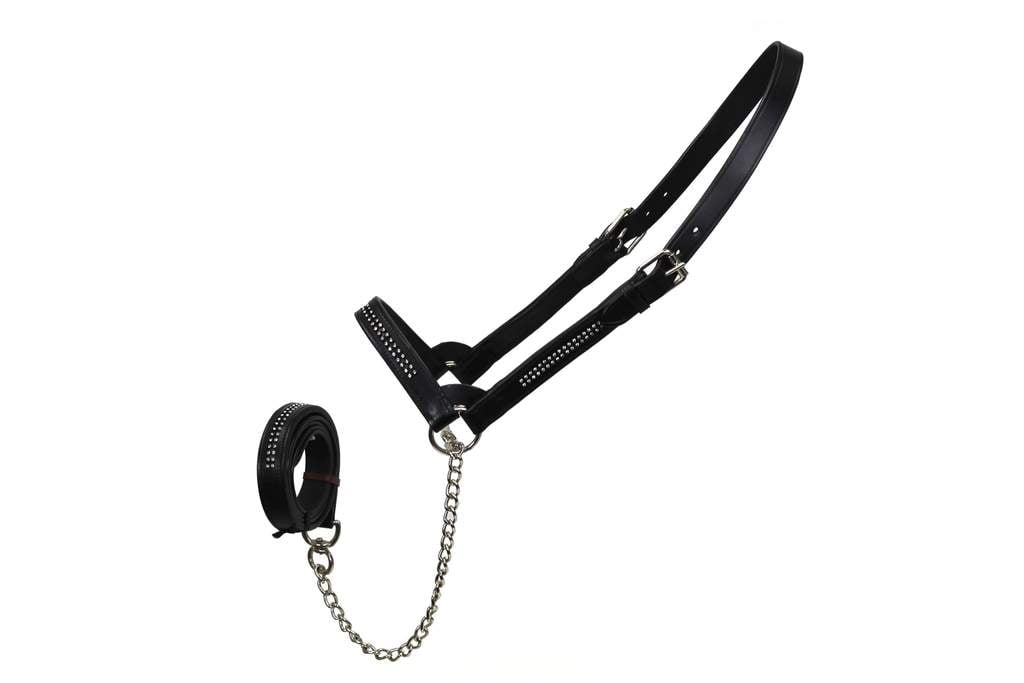 Derby Originals S Adjustable Leather Cattle Show Horse Halters, Black ...