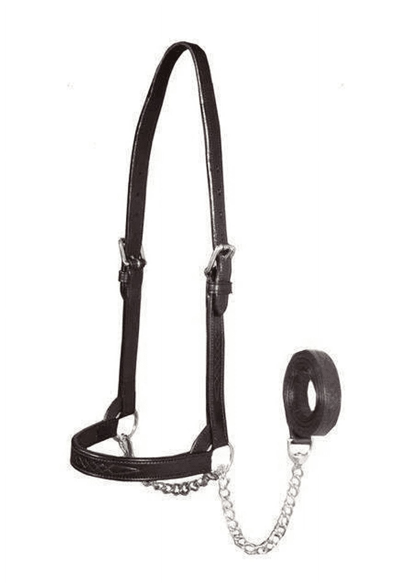 Derby New and Improved Premium Flat Fancy Stitch Leather Cattle Show ...