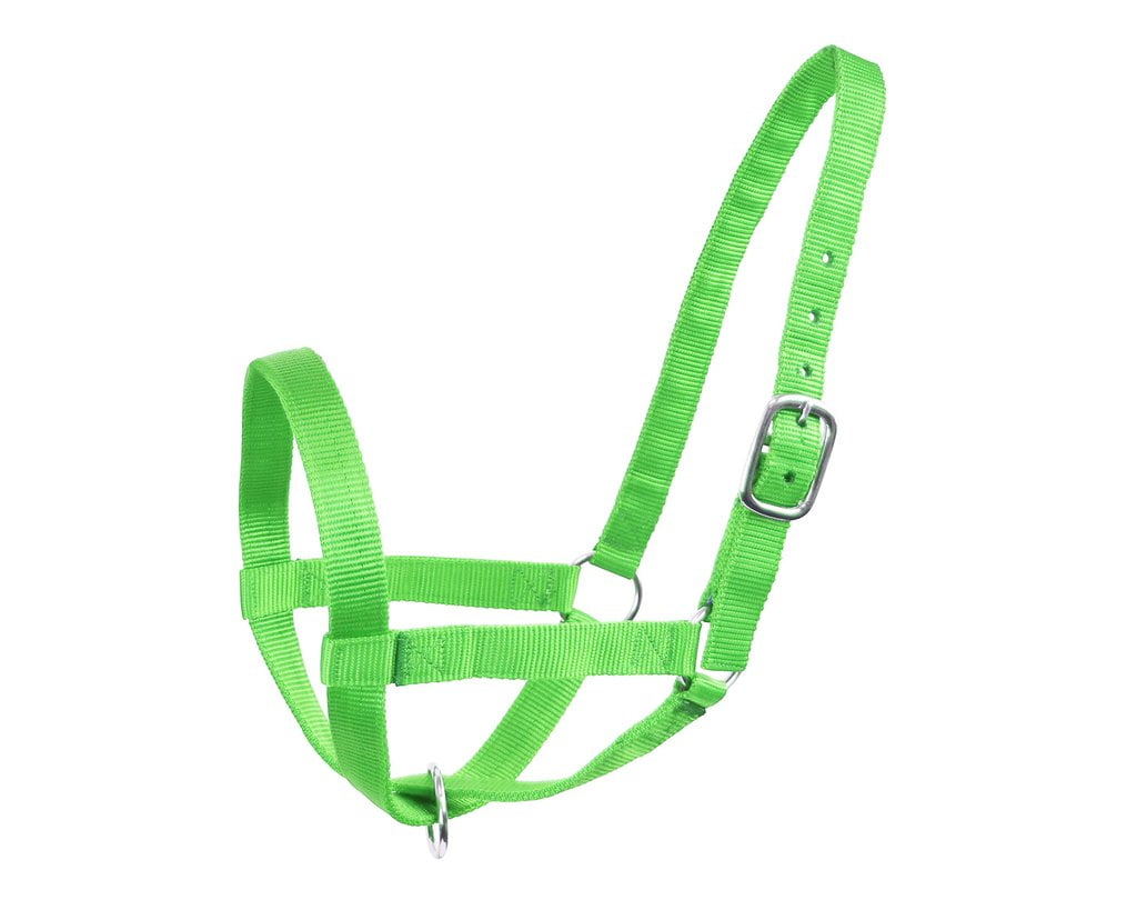 Derby Originals Adjustable Nylon Livestock Cattle Halter - Walmart.com