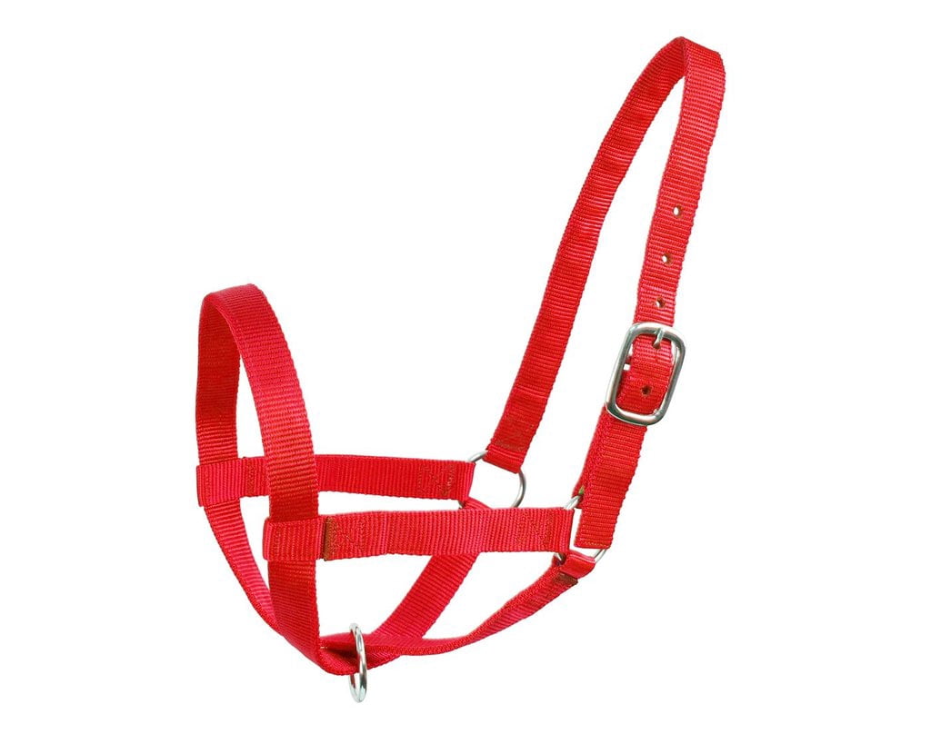 Derby Originals Adjustable Nylon Livestock Cattle Halters - Walmart.com