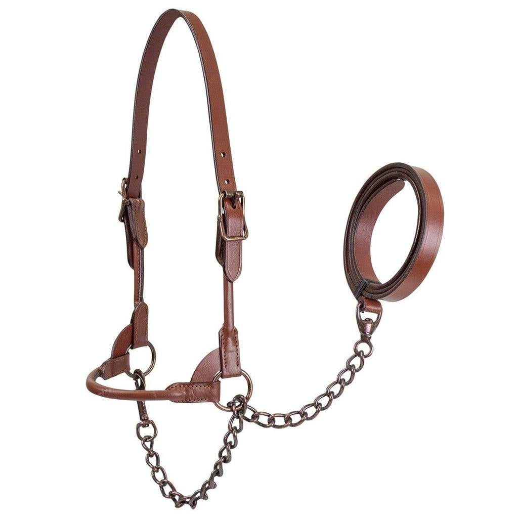 Derby Originals S Adjustable Leather Cattle ShowHorse Halters, Chesnut ...
