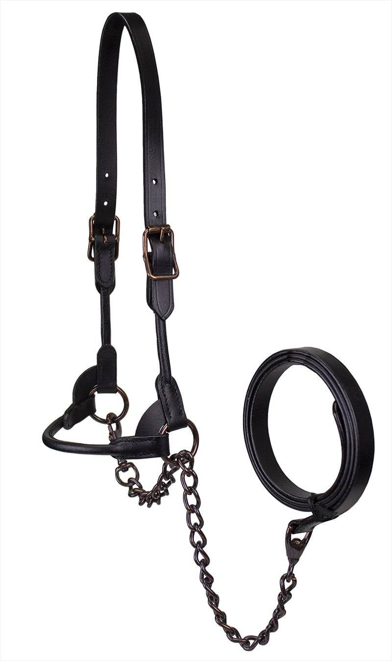 Derby Originals L Leather Cattle Show Horse Halters, Black - Walmart.com
