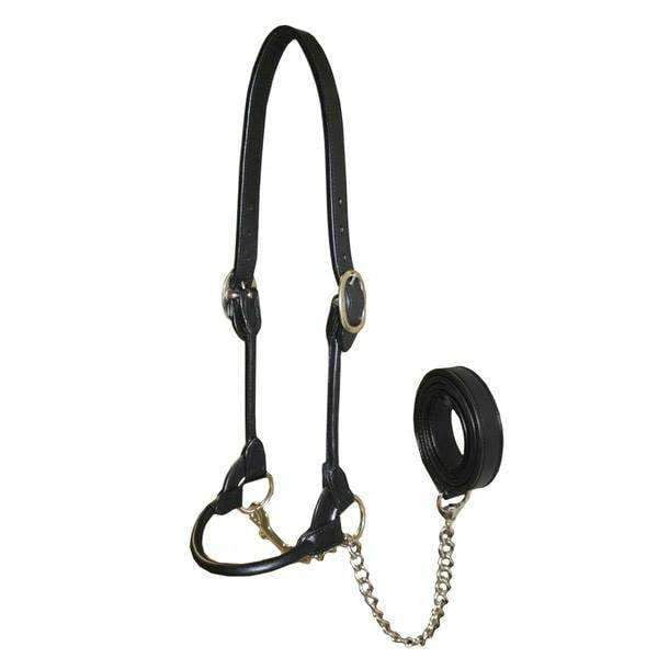 Derby Originals L Adjustable Leather Horse Show Halter, Black - Walmart.com