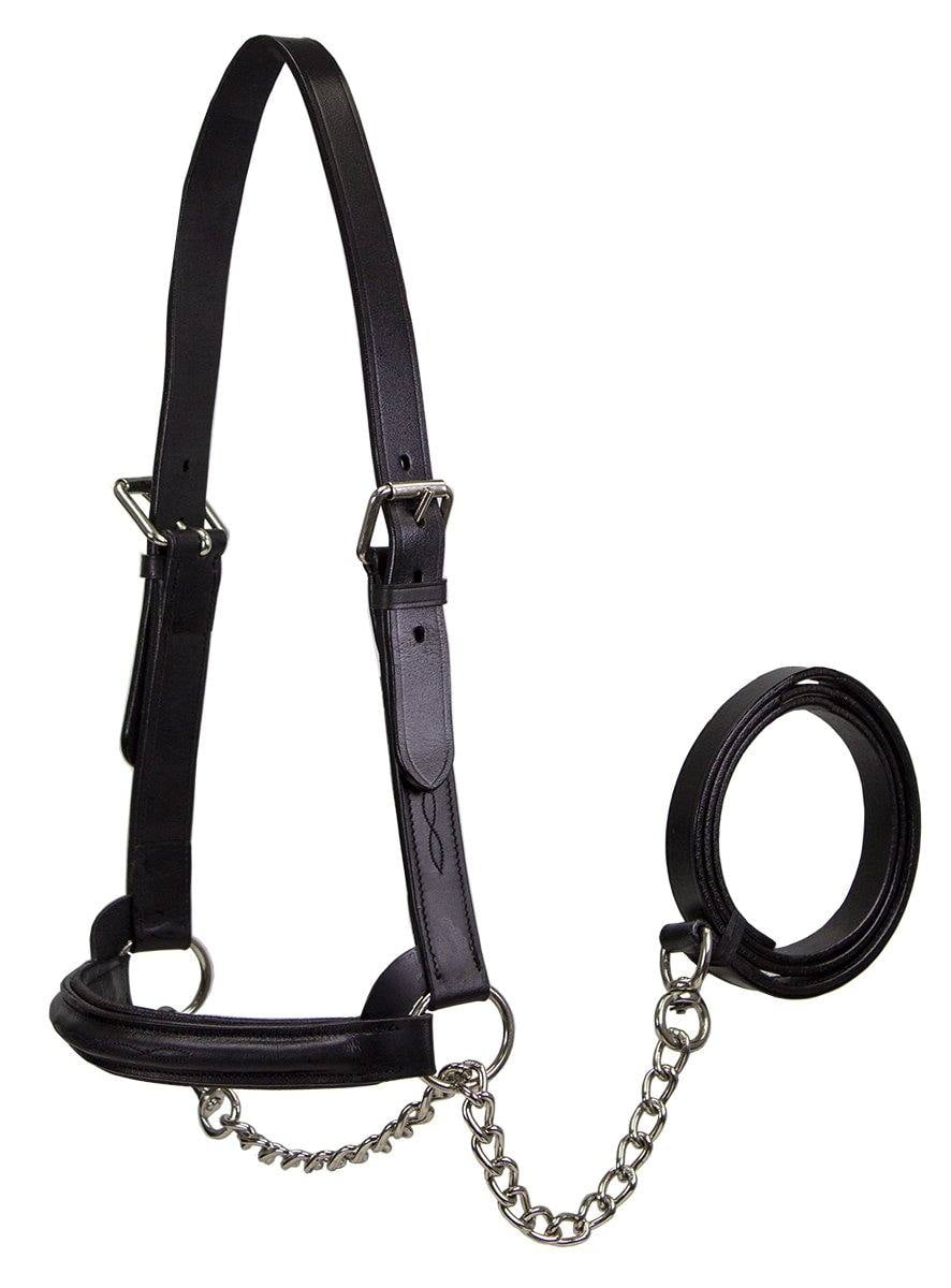 Derby Originals Premium Raised Padded Fancy Stitch Leather Cattle Show ...