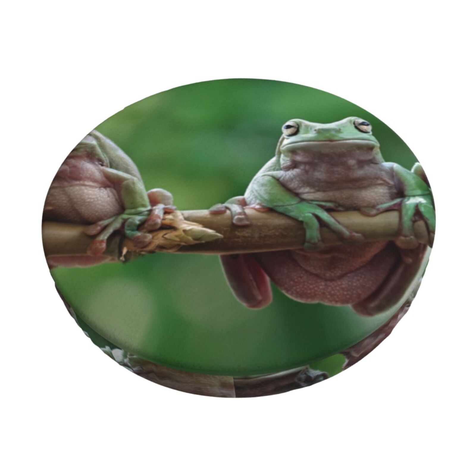 Derioi Australian White Tree Frog Sitting on Branch for Round Bar Chair ...