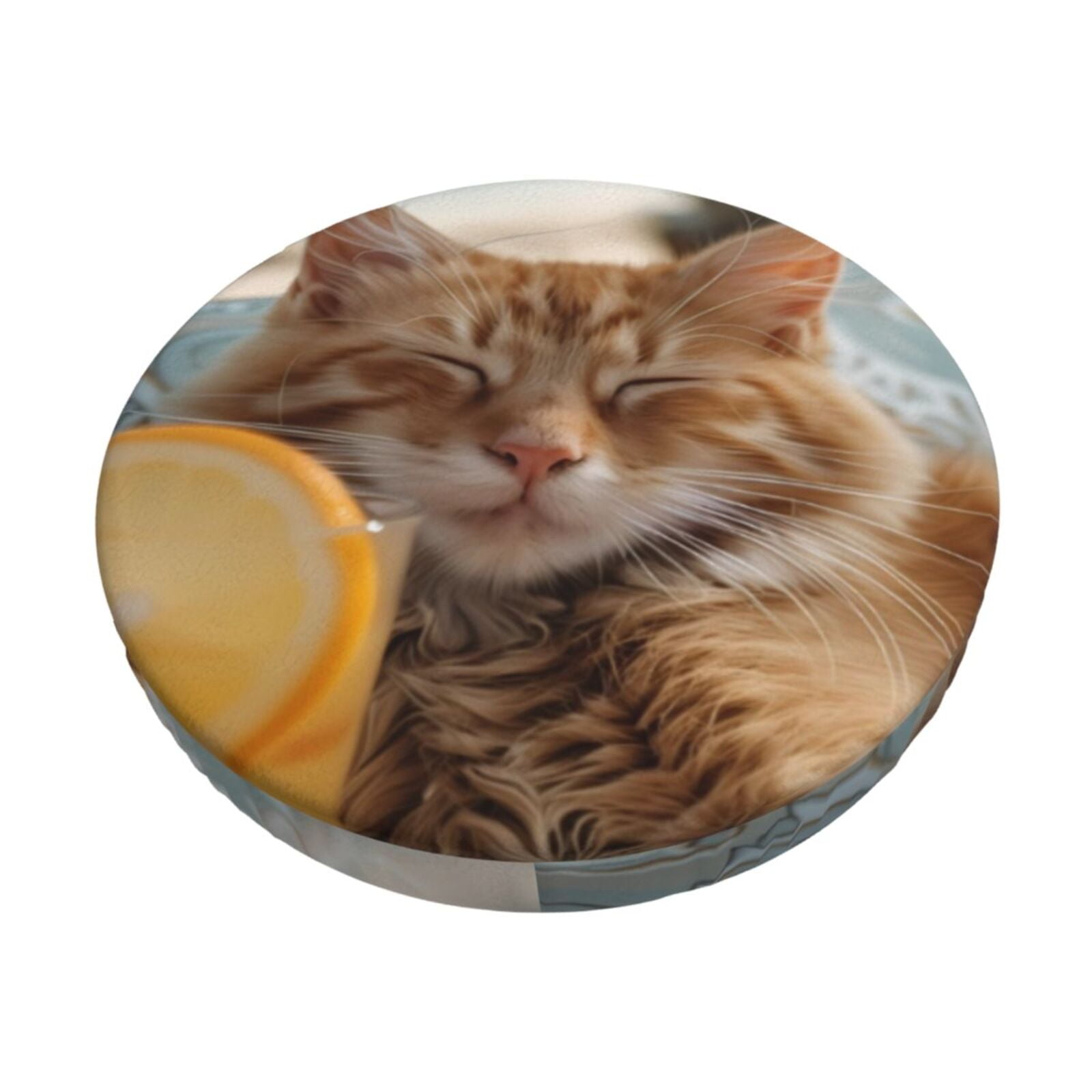 Derioi Relaxing Cat With Orange Juice for Round Bar Chair Cushion Cover ...