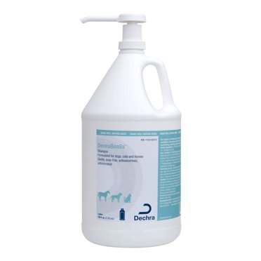 Dechra DermaBenSs Shampoo for Cats and Dogs 1 Gallon - Walmart.com