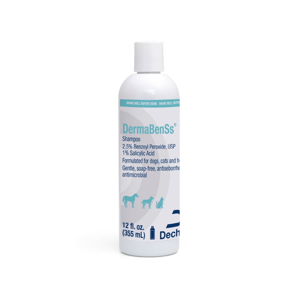 DermaBenSs Antimicrobial Shampoo, Medicated for Dogs, Cats and Horses ...