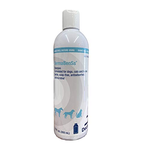 DermaPet DermaBenSs Shampoo 12oz - Walmart.com