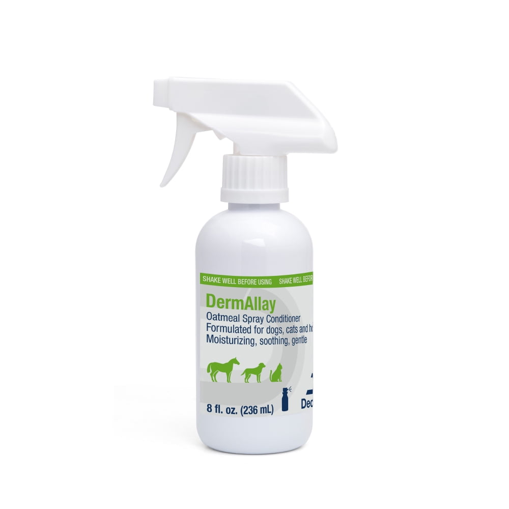 Dermallay Oatmeal Spray Conditoner for Dogs, Cats, & Horses, 8 oz ...