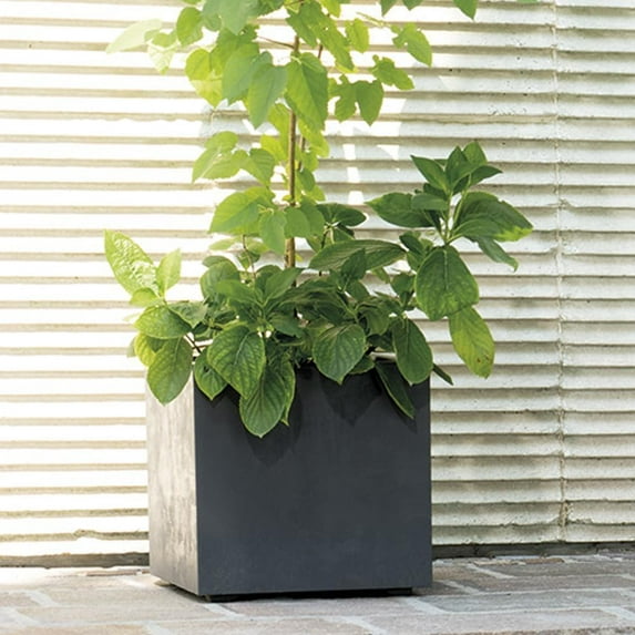 Deroma Millennium 10” Cube Planter | Light & Plastic | Indoor or ...