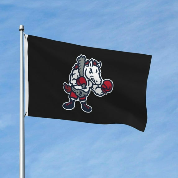 Binghamton Rumble Ponies Banner 3x5 Ft Flag,Double Sided Printed Flag ...